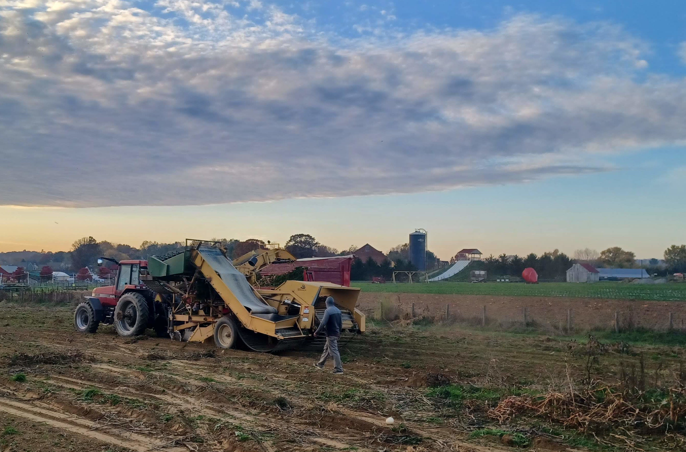 Lancaster County Potatoes – CountryBarnMarket