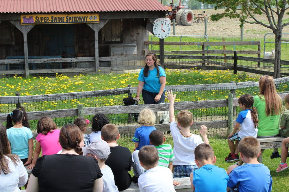 Barnyard Kingdom – CountryBarnMarket